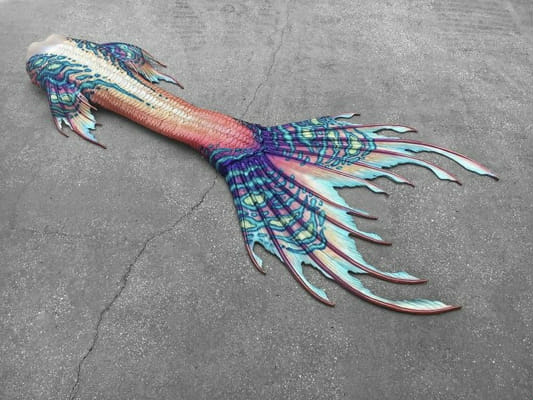 Become a merperson and get a animal friend - Quiz | Quotev