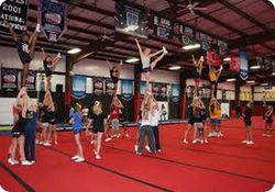 Are you a flyer, base or a spotter - Quiz | Quotev