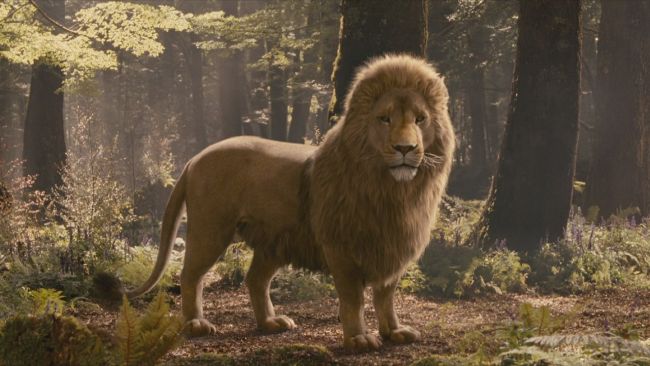 How Much do you Know About Narnia? (Part 2) - Test | Quotev