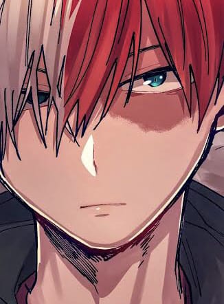Illusion [Shoto Todoroki X Reader] - Quiz | Quotev