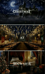 Hogwarts Christmas Doors Game - Survey | Quotev