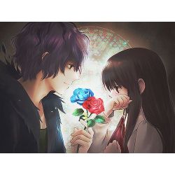 Ship it Or Rip it (anime edition) - Survey | Quotev