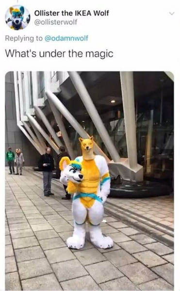 Furry memes cuz why not? - Quiz | Quotev