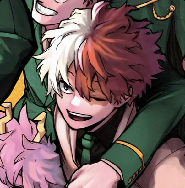 Shoto Todoroki READ PINNED | Quotev