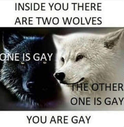 Omegaverse | Quotev