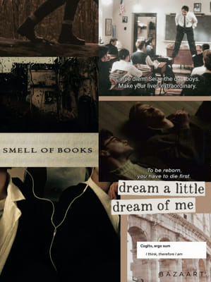 pick some images & get an aesthetic - Quiz