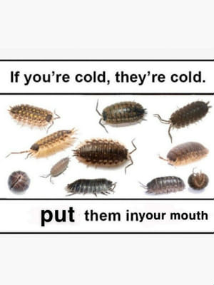 Which of the 14 entities are you? - Quiz | Quotev