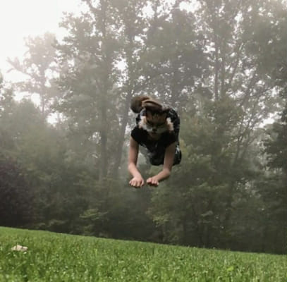 How much do you know about therians? ~ - Test | Quotev