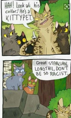 Warrior Cats Longtail Vs Rusty