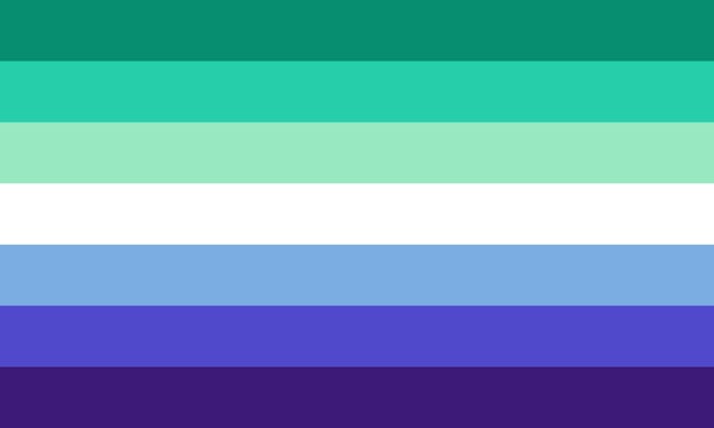Guess The Pride Flag - Test | Quotev