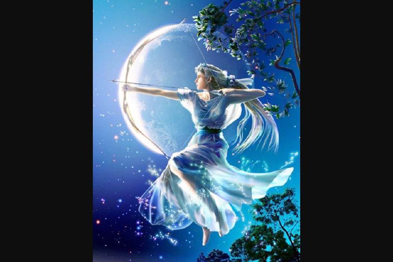 Jodha Avalon | Quotev