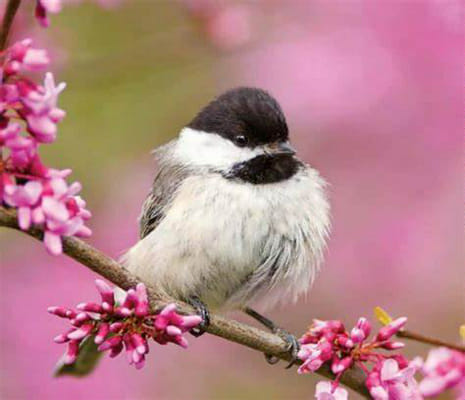 What Anime do you belong in? - Quiz | Quotev