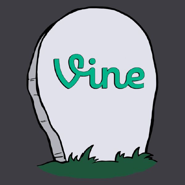 Do You Know Your Vine - Test | Quotev