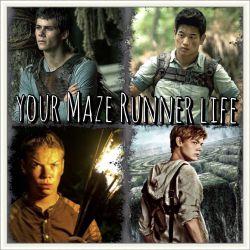 Your Maze Runner Life - Quiz | Quotev